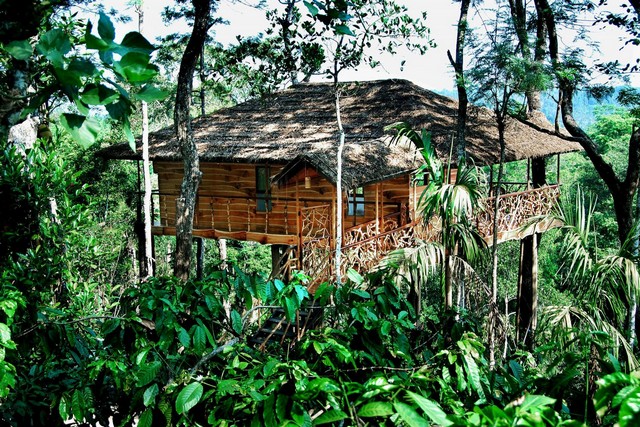 Top 20 Tree House in Kerala for Your Holidays in Kerala – Kerala Tour ...